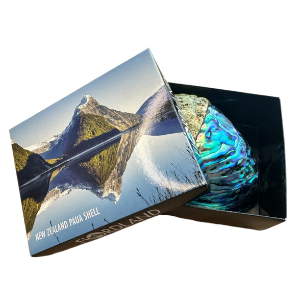 Fiordland Souvenirs Paua Shells | Fully & Half Polished NZ Paua