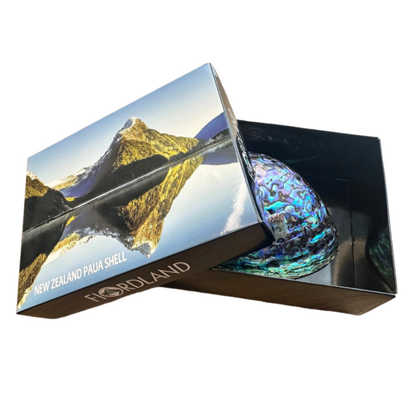 Fiordland Souvenirs Paua Shells | Fully & Half Polished NZ Paua